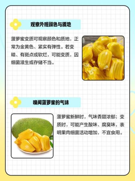 菠萝蜜一次吃了20颗会怎么样_吃多后怎么补救-第3张图片-山城妙识