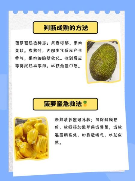 菠萝蜜一次吃了20颗会怎么样_吃多后怎么补救-第2张图片-山城妙识