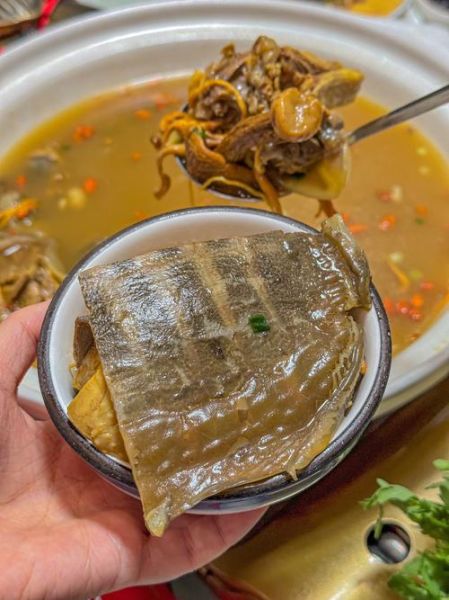 甲鱼汤怎么煲才没腥味_甲鱼汤做法大全煲汤窍门-第1张图片-山城妙识