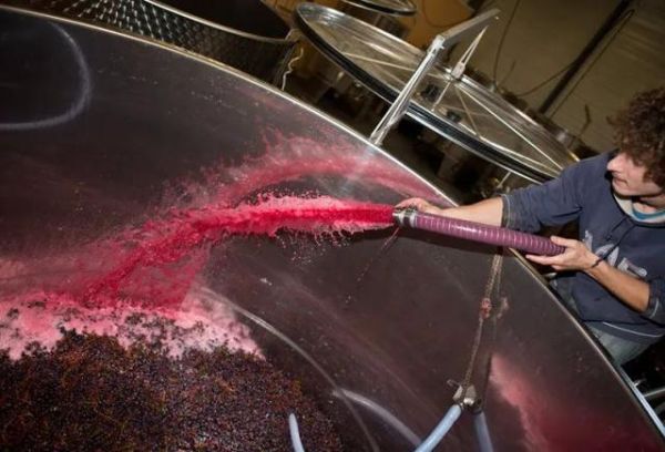 葡萄酒怎么酿造_葡萄酒酿造全过程-第2张图片-山城妙识