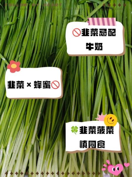 韭菜不能和什么一起吃_韭菜相克食物大全-第1张图片-山城妙识 韭菜不能和什么一起吃_韭菜相克食物大全-第1张图片-山城妙识