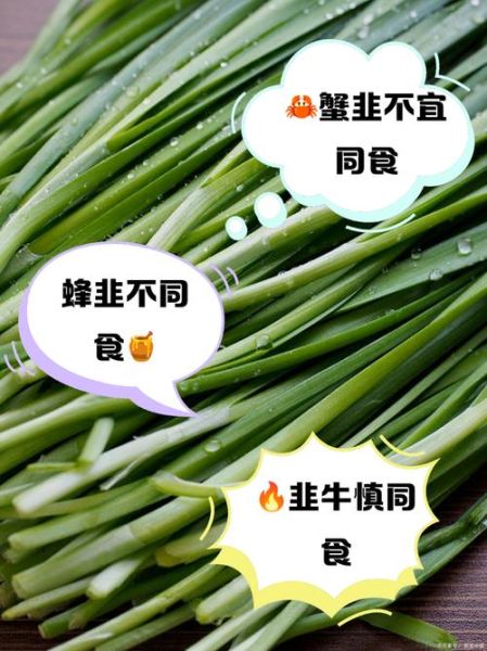 韭菜不能和什么一起吃_韭菜相克食物大全-第2张图片-山城妙识 韭菜不能和什么一起吃_韭菜相克食物大全-第2张图片-山城妙识