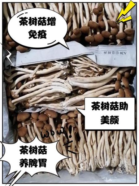 茶树菇的危害_茶树菇吃多了有什么副作用-第3张图片-山城妙识