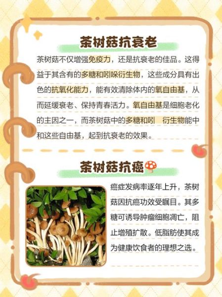 茶树菇的危害_茶树菇吃多了有什么副作用-第1张图片-山城妙识