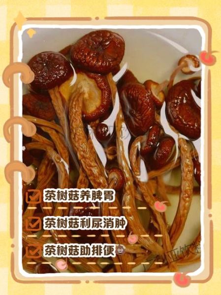 茶树菇的危害_茶树菇吃多了有什么副作用-第2张图片-山城妙识