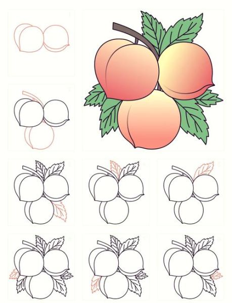 水果简笔画彩色怎么画_彩色水果简笔画教程-第1张图片-山城妙识