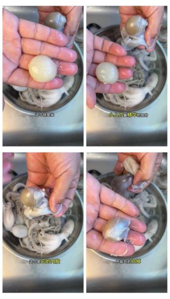 小八爪鱼怎么清洗_小八爪鱼清洗步骤图解-第3张图片-山城妙识