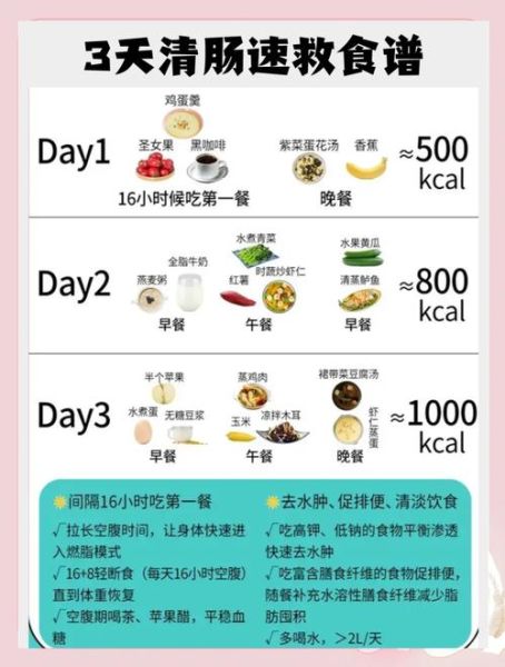 胃肠炎吃什么食物好_急性期饮食清单-第3张图片-山城妙识