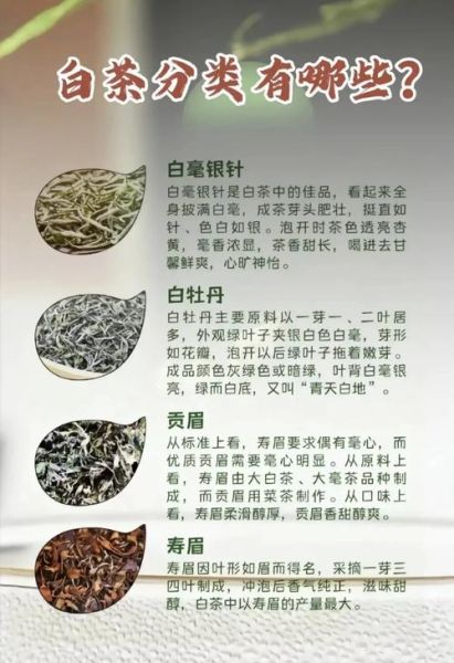 喝白茶有什么好处和坏处_白茶适合长期喝吗-第1张图片-山城妙识