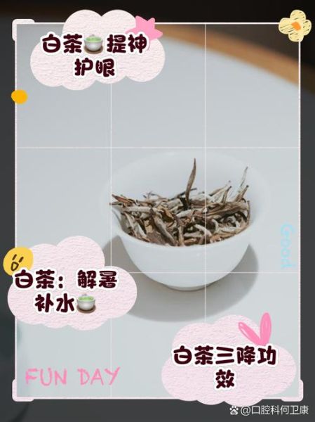 喝白茶有什么好处和坏处_白茶适合长期喝吗-第3张图片-山城妙识