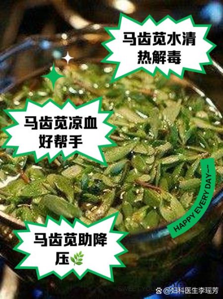 马齿苋煮水洗头白发能变黑吗_马齿苋洗头多久见效-第3张图片-山城妙识 马齿苋煮水洗头白发能变黑吗_马齿苋洗头多久见效-第3张图片-山城妙识