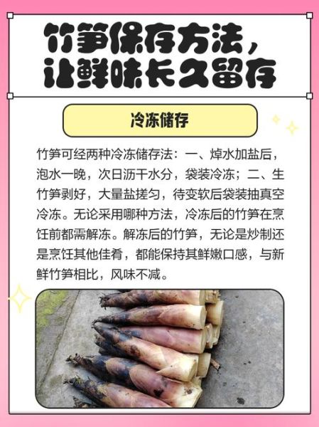 野竹笋怎么保存_野竹笋怎么焯水-第3张图片-山城妙识 野竹笋怎么保存_野竹笋怎么焯水-第3张图片-山城妙识