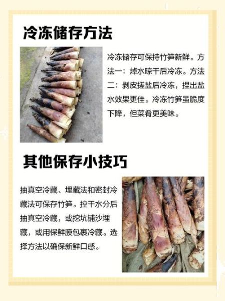 野竹笋怎么保存_野竹笋怎么焯水-第1张图片-山城妙识 野竹笋怎么保存_野竹笋怎么焯水-第1张图片-山城妙识