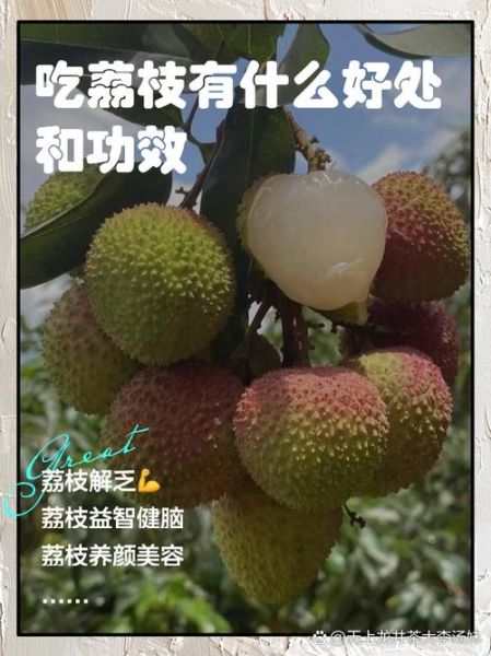 荔枝的功效与作用禁忌_哪些人不能吃-第2张图片-山城妙识 荔枝的功效与作用禁忌_哪些人不能吃-第2张图片-山城妙识