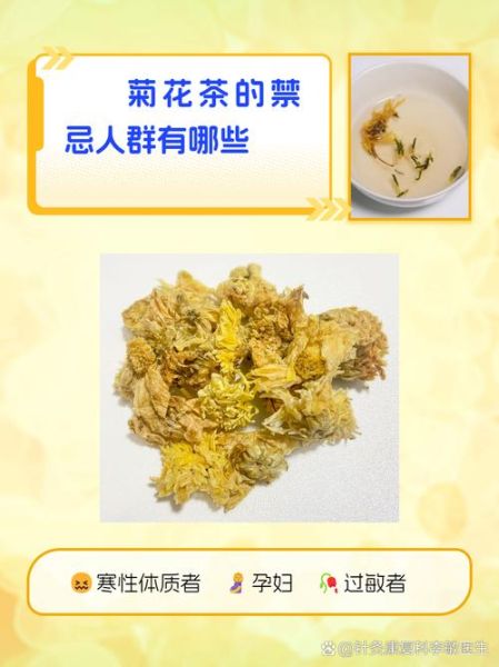 菊花茶哪些人不能喝_菊花茶禁忌人群-第1张图片-山城妙识 菊花茶哪些人不能喝_菊花茶禁忌人群-第1张图片-山城妙识