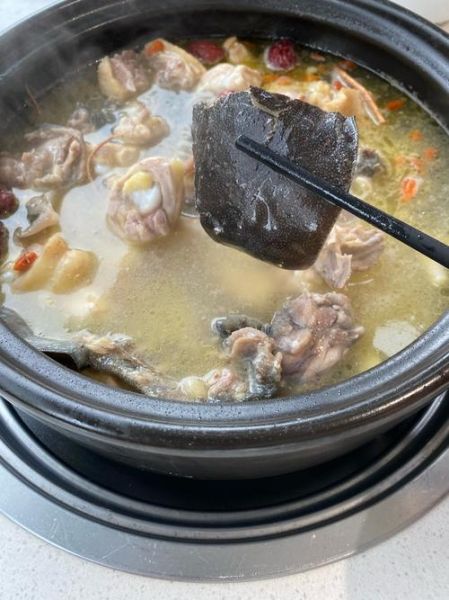 甲鱼为什么不能炖鸡_甲鱼和鸡相克吗-第1张图片-山城妙识 甲鱼为什么不能炖鸡_甲鱼和鸡相克吗-第1张图片-山城妙识
