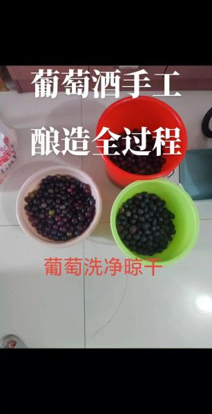 葡萄酒酿造过程_葡萄酒酿造需要哪些原料-第3张图片-山城妙识