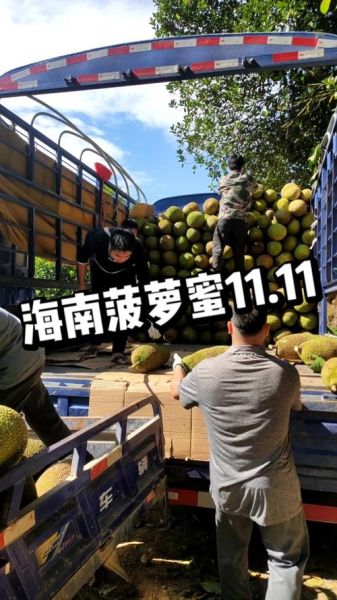 菠萝蜜国际通道口3_如何快速通关-第1张图片-山城妙识 菠萝蜜国际通道口3_如何快速通关-第1张图片-山城妙识