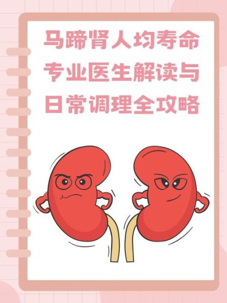 马蹄肾能活多久_马蹄肾人均寿命-第1张图片-山城妙识