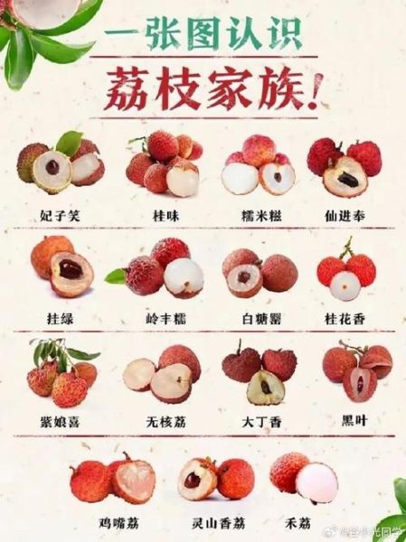 荔枝肉热量是多少_减肥能吃吗-第3张图片-山城妙识