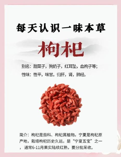 枸杞吃多了会上火吗_枸杞的副作用有哪些-第2张图片-山城妙识