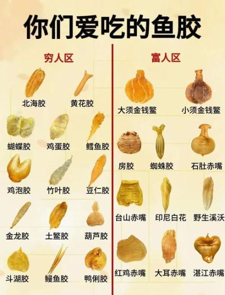 鱼胶是什么_鱼胶的功效与作用-第1张图片-山城妙识