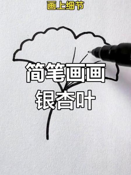 银杏叶简笔画怎么画_银杏叶简笔画步骤-第3张图片-山城妙识