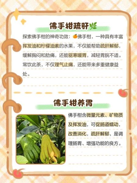 佛手柑的功效与作用禁忌_孕妇能吃吗-第1张图片-山城妙识