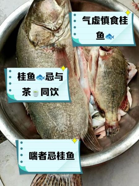 桂鱼寒性还是热性_孕妇能吃桂鱼吗-第1张图片-山城妙识