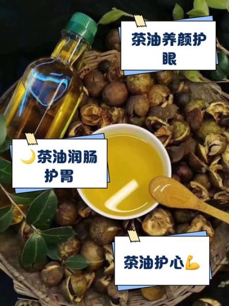 每天一勺茶油治疗胃炎_茶油对胃炎真的有用吗-第1张图片-山城妙识