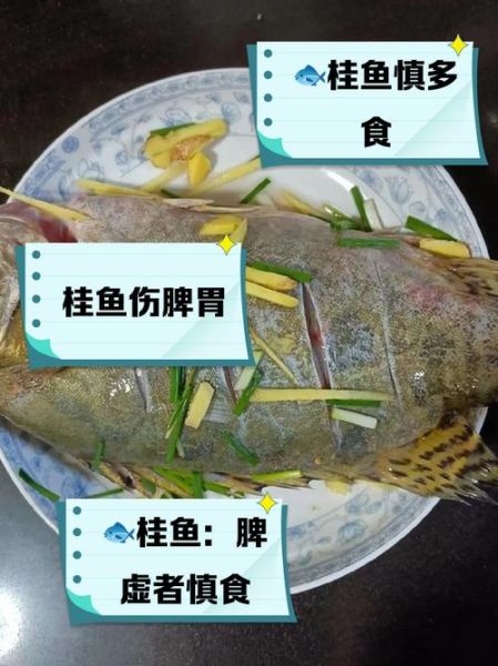 桂鱼寒性还是热性_孕妇能吃桂鱼吗-第3张图片-山城妙识