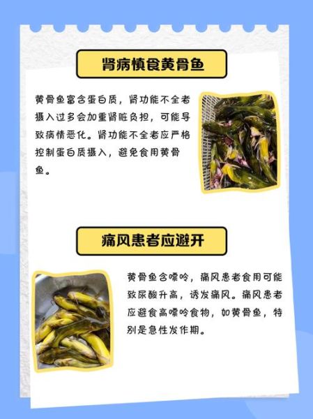 黄骨鱼是海鱼还是淡水鱼_黄骨鱼生活习性-第2张图片-山城妙识