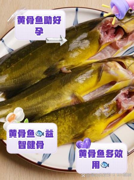 黄骨鱼是海鱼还是淡水鱼_黄骨鱼生活习性-第1张图片-山城妙识