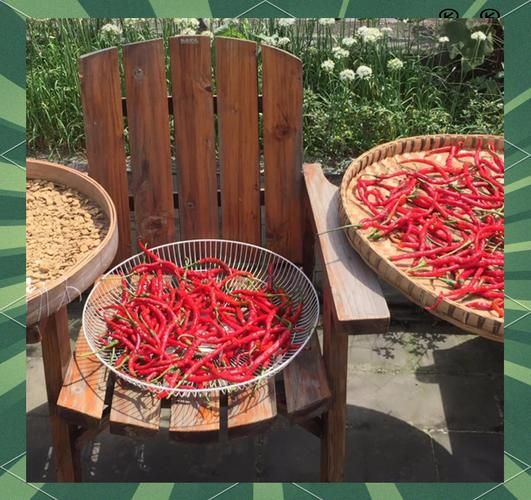 正宗四川豆瓣酱怎么做_家庭自制豆瓣酱步骤-第2张图片-山城妙识 正宗四川豆瓣酱怎么做_家庭自制豆瓣酱步骤-第2张图片-山城妙识