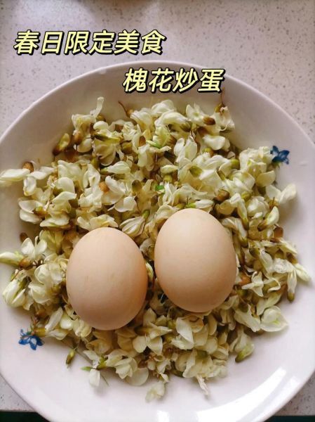 槐花怎么吃好吃_槐花有哪些家常做法-第1张图片-山城妙识