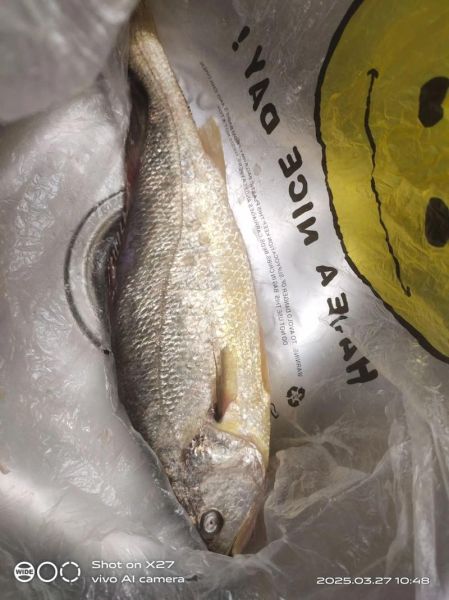 黄花鱼怎么做汤好喝_黄花鱼汤去腥技巧-第2张图片-山城妙识