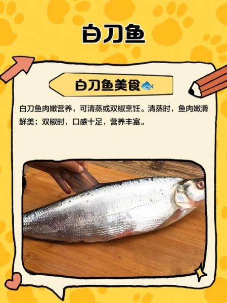 白刀鱼怎么做好吃_白刀鱼的做法大全家常-第2张图片-山城妙识