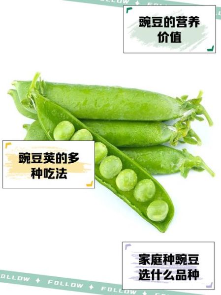 豌豆荚破解版安全吗_豌豆荚破解版怎么下载-第2张图片-山城妙识