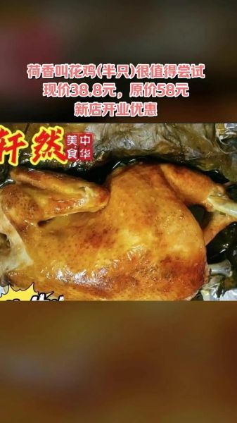 叫花鸡专用烤箱怎么选_多少钱一台-第2张图片-山城妙识