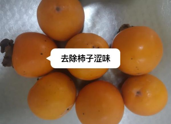 柿子去涩最快的方法_柿子怎么快速去涩-第2张图片-山城妙识
