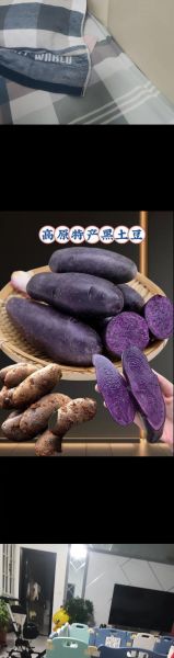 黑土豆的营养价值及功效与作用_黑土豆怎么吃最健康-第3张图片-山城妙识