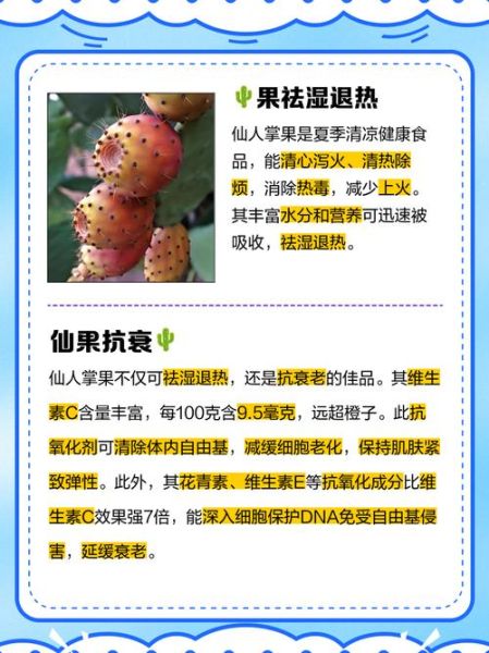 仙人掌果什么人不能吃_孕妇能吃仙人掌果吗-第1张图片-山城妙识