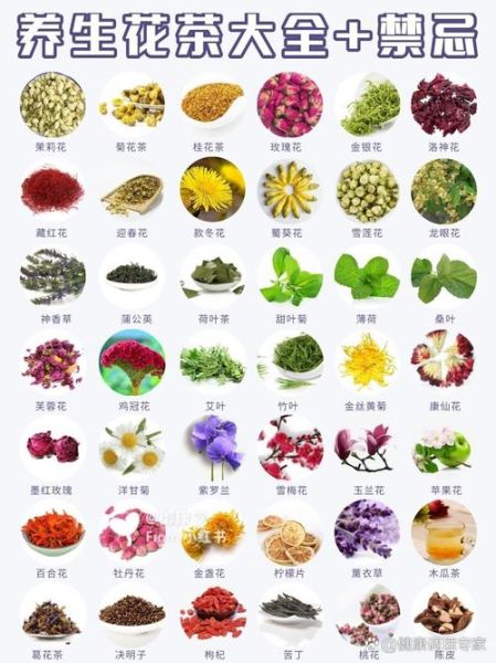 花茶有哪些种类_花茶图片大全及功效-第1张图片-山城妙识