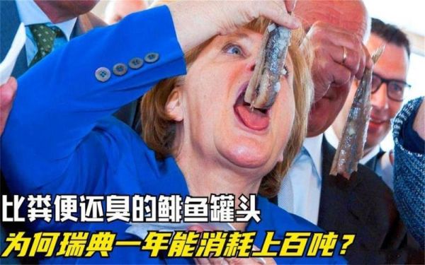 鲱鱼罐头和屎哪个臭_鲱鱼罐头为什么比屎还臭-第3张图片-山城妙识