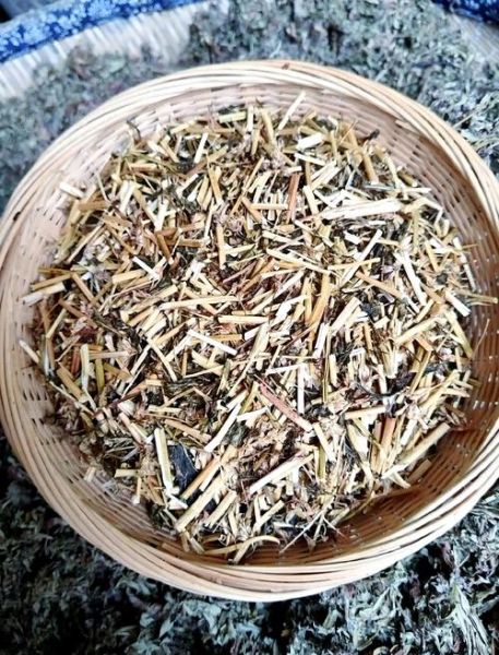 灵香草的功效与作用_灵香草怎么用效果最好-第3张图片-山城妙识 灵香草的功效与作用_灵香草怎么用效果最好-第3张图片-山城妙识