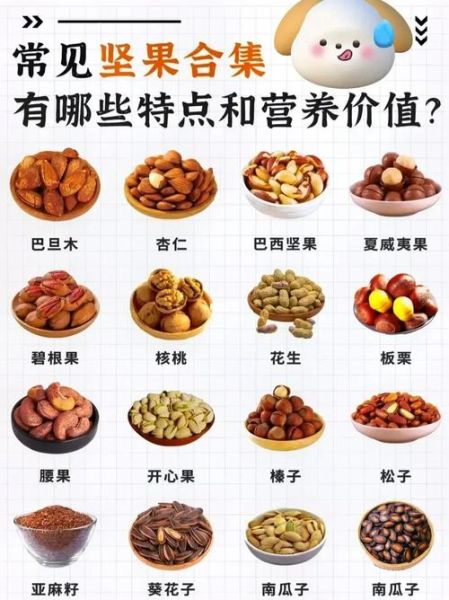 榛子的功效与作用_榛子怎么吃最好-第1张图片-山城妙识 榛子的功效与作用_榛子怎么吃最好-第1张图片-山城妙识