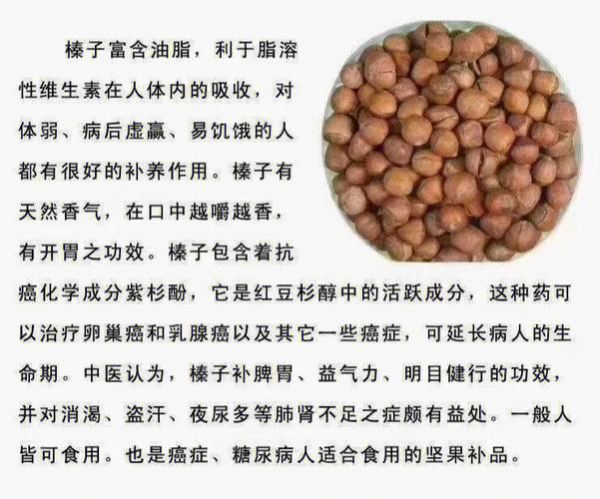 榛子的功效与作用_榛子怎么吃最好-第3张图片-山城妙识 榛子的功效与作用_榛子怎么吃最好-第3张图片-山城妙识
