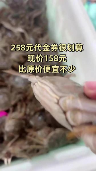 兴化大闸蟹多少钱一斤_2024最新价格表-第2张图片-山城妙识