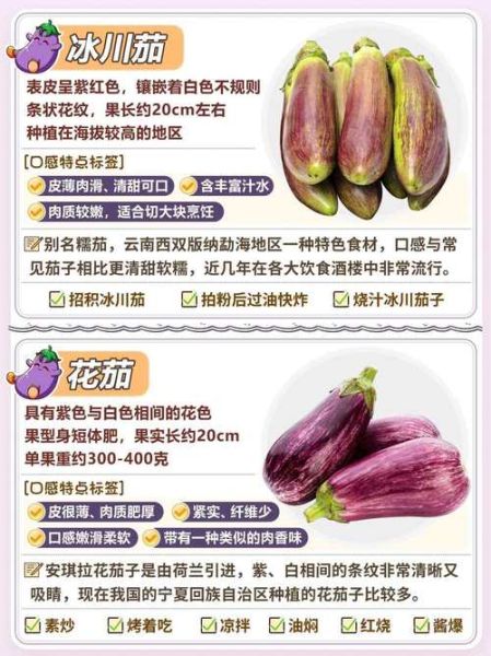 茄科蔬菜有哪些_常见品种与食用禁忌-第2张图片-山城妙识 茄科蔬菜有哪些_常见品种与食用禁忌-第2张图片-山城妙识