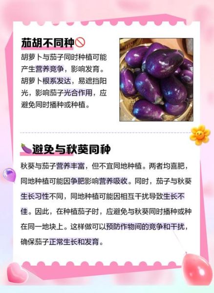 茄科蔬菜有哪些_常见品种与食用禁忌-第3张图片-山城妙识 茄科蔬菜有哪些_常见品种与食用禁忌-第3张图片-山城妙识